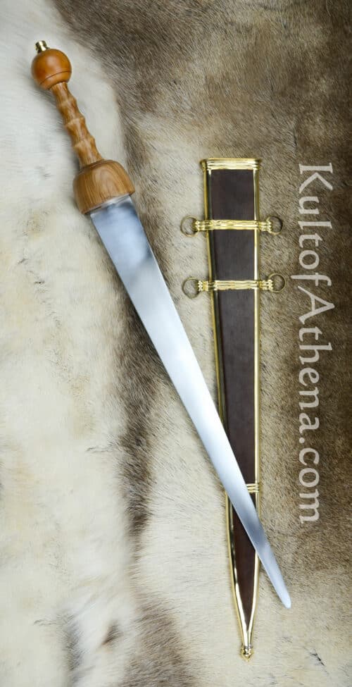 Single-Edged Gladius